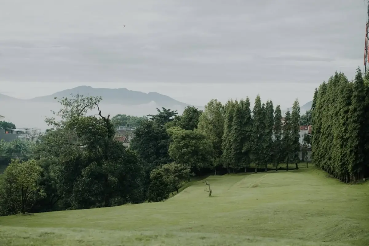 Harga Tiket Masuk Uncle D Backyard, Tempat Piknik Estetik yang Baru ...