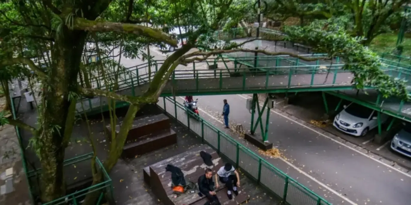 Hutan Babakan Siliwangi Kota Bandung Ditutup Sementara, Ternyata Ini ...