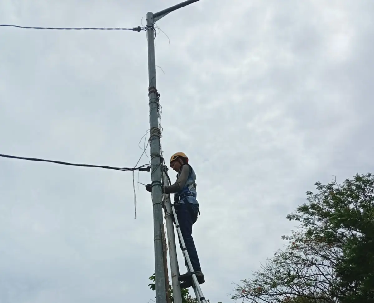 Wujudkan Layanan Berkualitas, PLN Icon Plus Lakukan Penataan Aset di ...